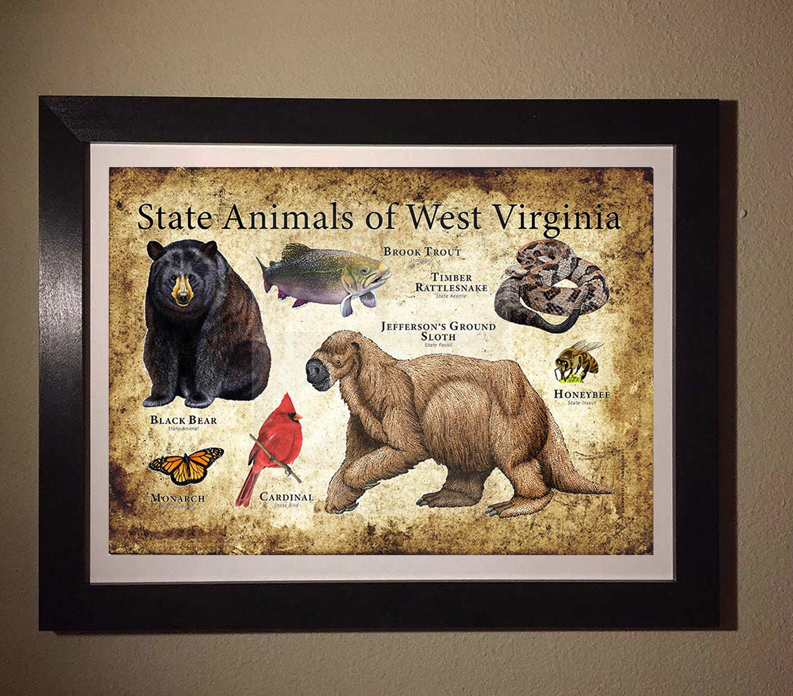 West Virginia State Animals | Etsy Canada
