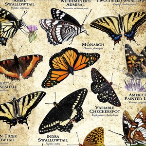Butterflies of Nevada Poster Print - Field Guide - Etsy