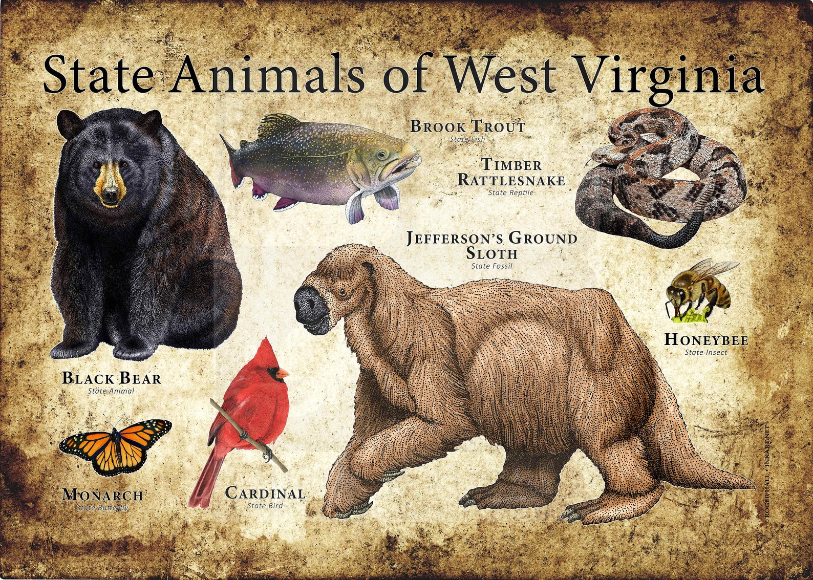 West Virginia State Animals | Etsy Canada