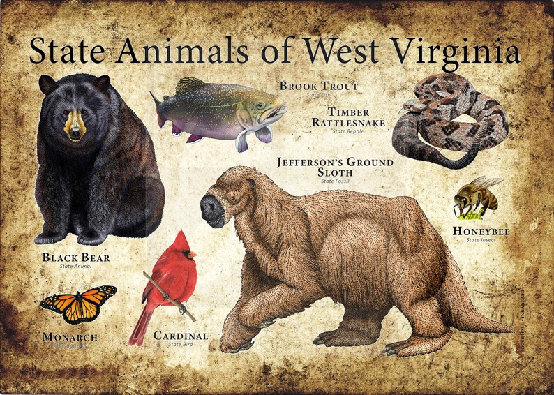 West Virginia State Animals | Etsy Canada
