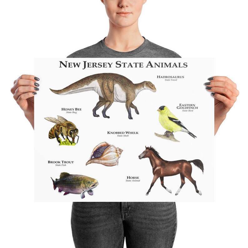 New Jersey State Animals Poster Print | Etsy