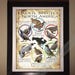 Quail Species of North America Poster Print/field Guide - SIGNED BY ...