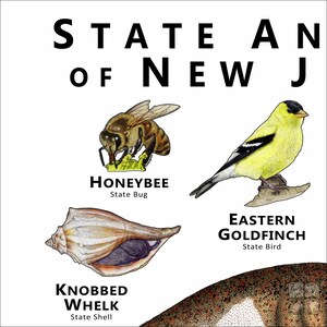 New Jersey State Animals Poster Print - Etsy UK