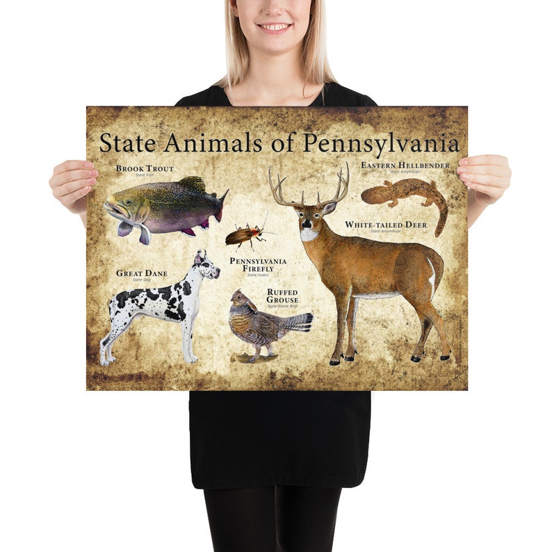 Pennsylvania State Animals Poster Print - Etsy