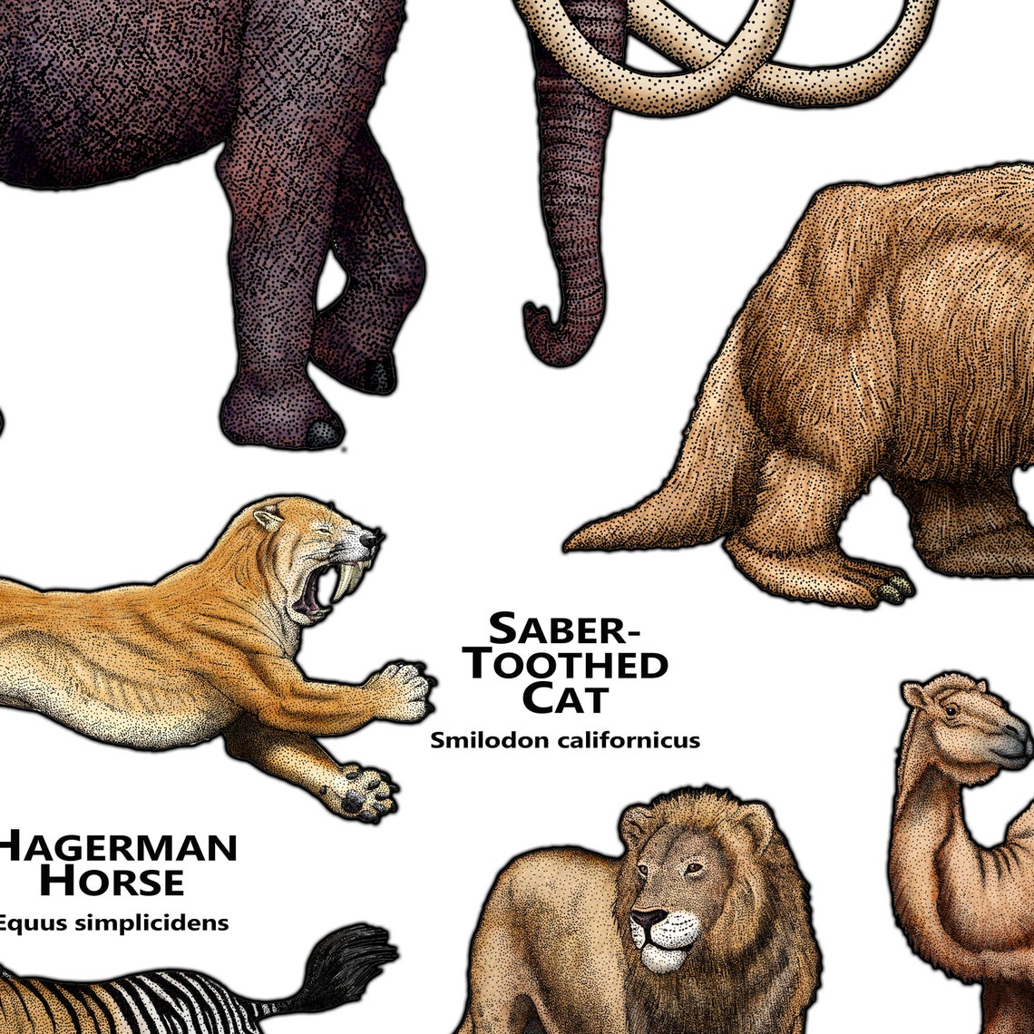 Extinct Animals of North America Poster - Etsy