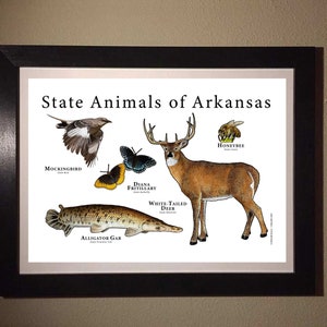 Arkansas State Animals Poster Print | Etsy