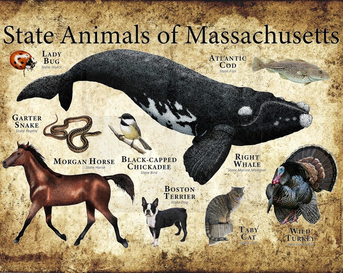 Tapirs the World Poster Print - Etsy