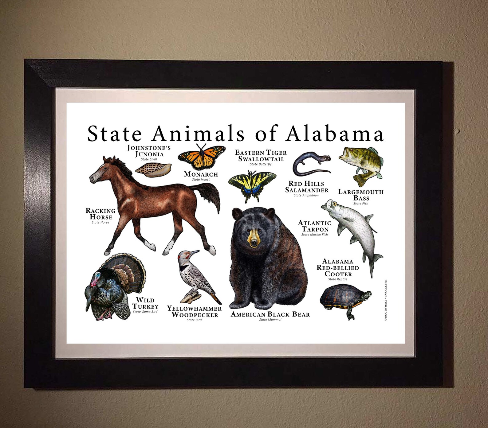 Alabama State Animals Poster - Etsy