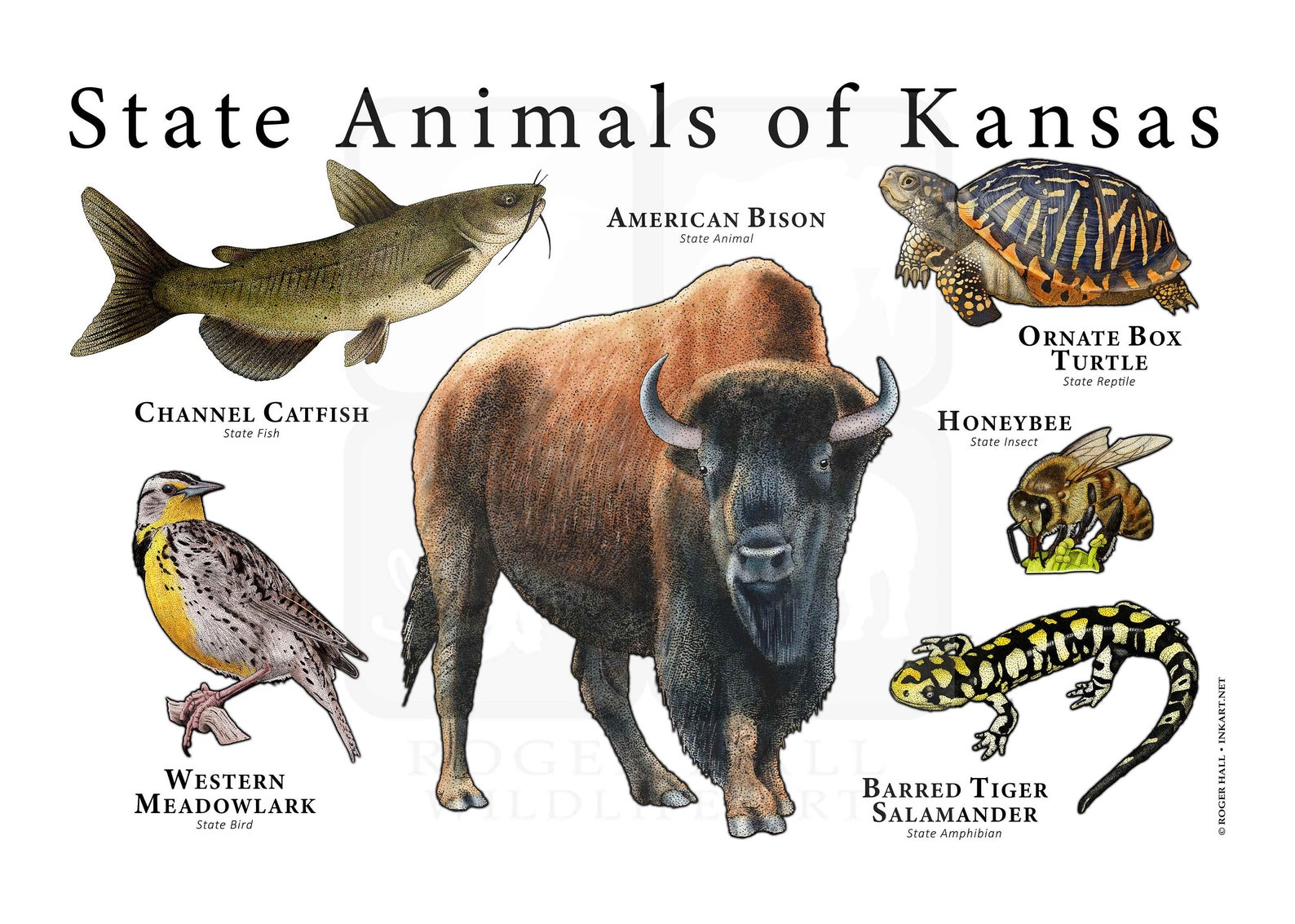 Kansas State Animals Poster Print | Etsy
