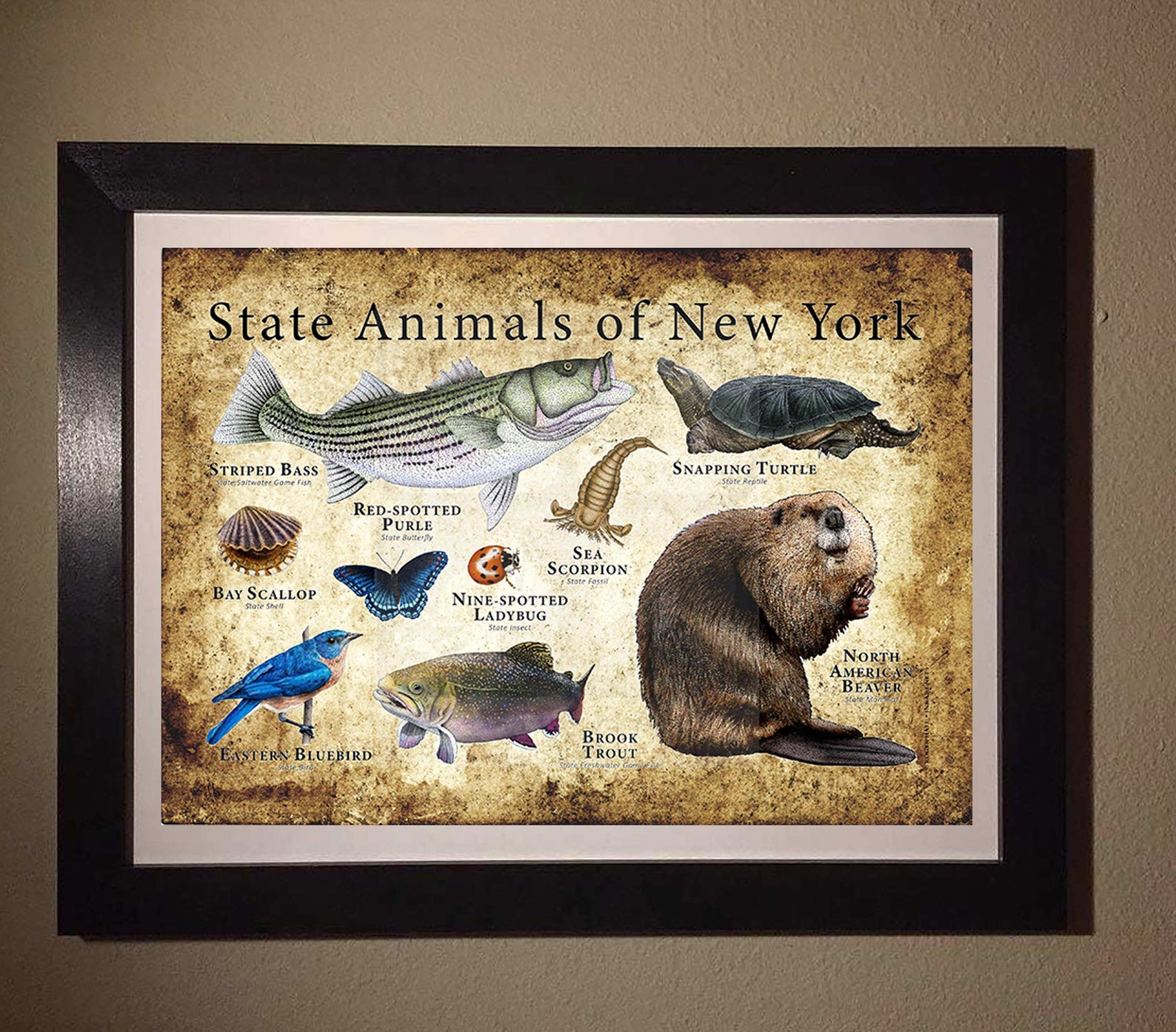 New York State Animals Poster Print | Etsy