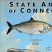 Connecticut State Animals Poster Print - Etsy