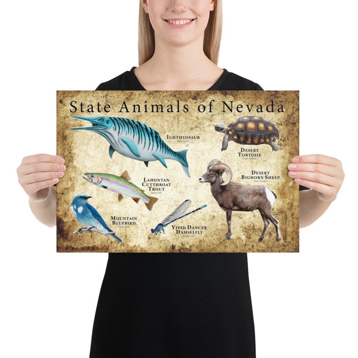 Nevada State Animals | Etsy