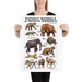 Extinct Animals of North America Poster - Etsy