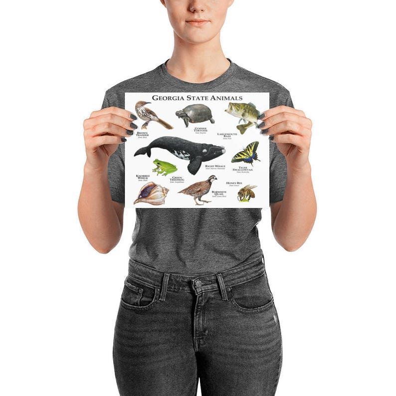 Georgia State Animals Poster Print | Etsy