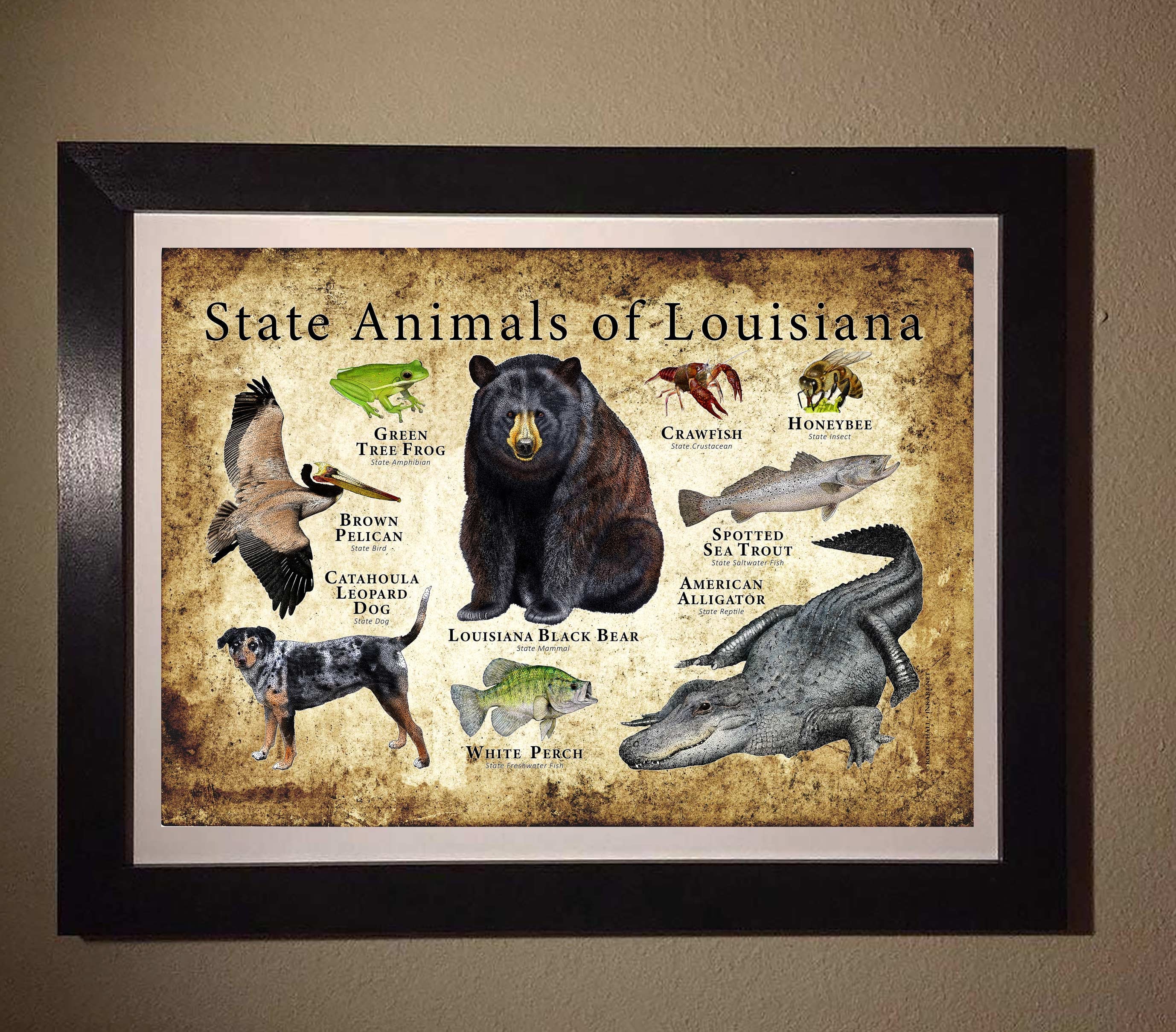 Louisiana State Animals Poster Print - Etsy