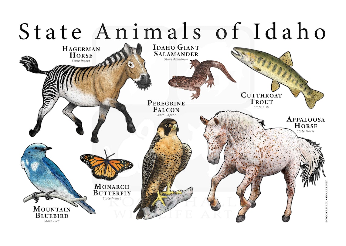 Idaho State Animals Poster Print | Etsy