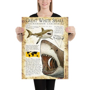 Great White Shark Poster Print | Etsy