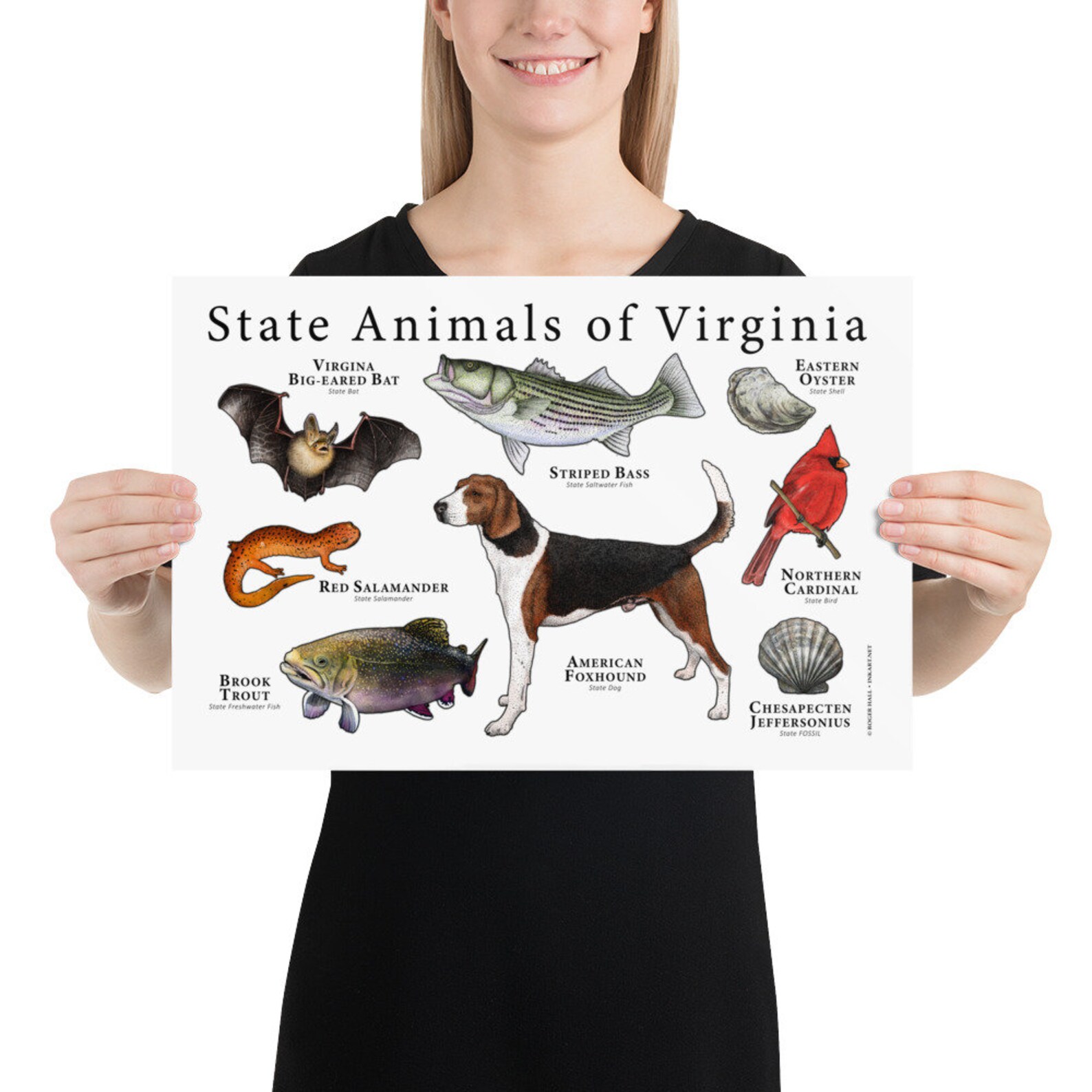 Virginia State Animals Poster Print | Etsy