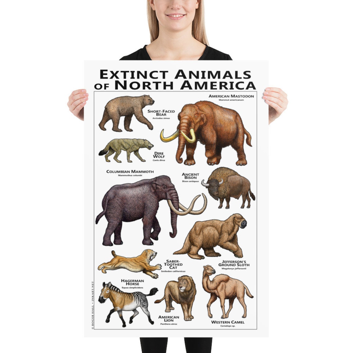 Extinct Animals of North America Poster - Etsy