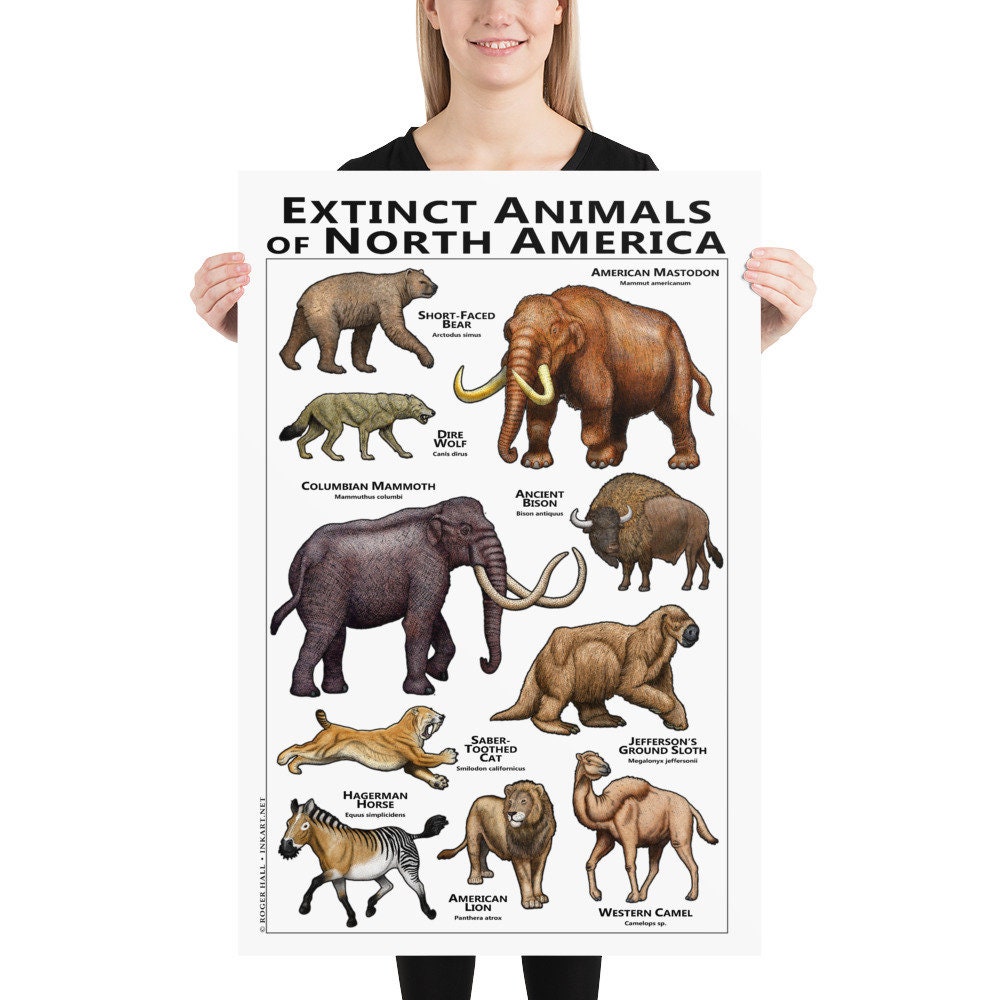 Extinct Animals of North America Poster | Etsy