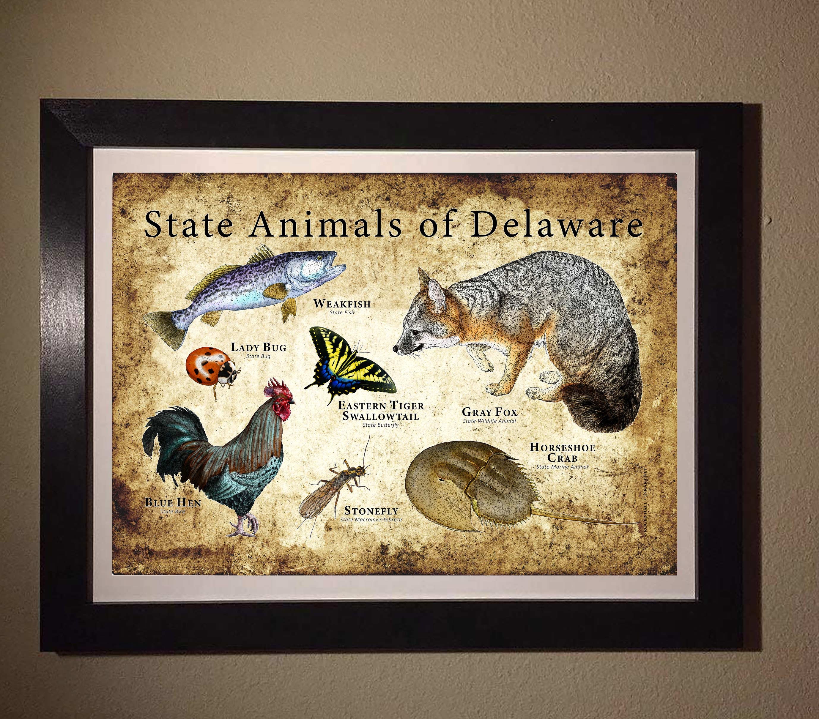 Impresión del cartel de Delaware State Animals | Etsy
