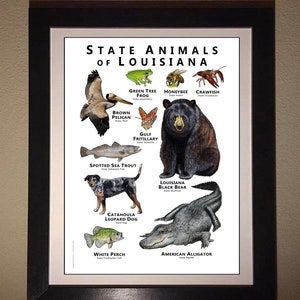 Louisiana State Animals Poster Print - Etsy