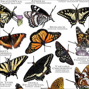 Butterflies of Oregon Poster Print - Field Guide - Etsy