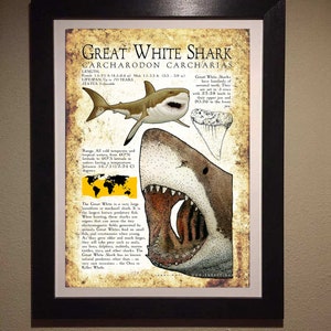 Great White Shark Poster Print | Etsy