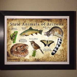 Arizona State Animals Poster Print - Etsy