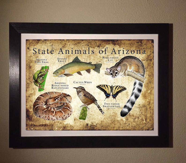 Arizona State Animals Poster Print - Etsy