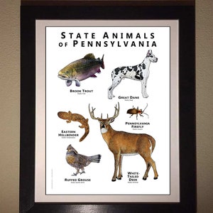 Pennsylvania State Animals Poster Print - Etsy
