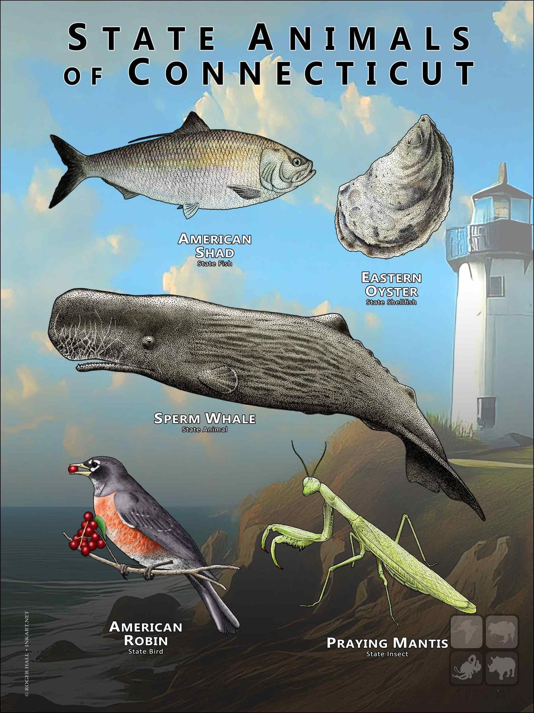 Connecticut State Animals Poster Print - Etsy