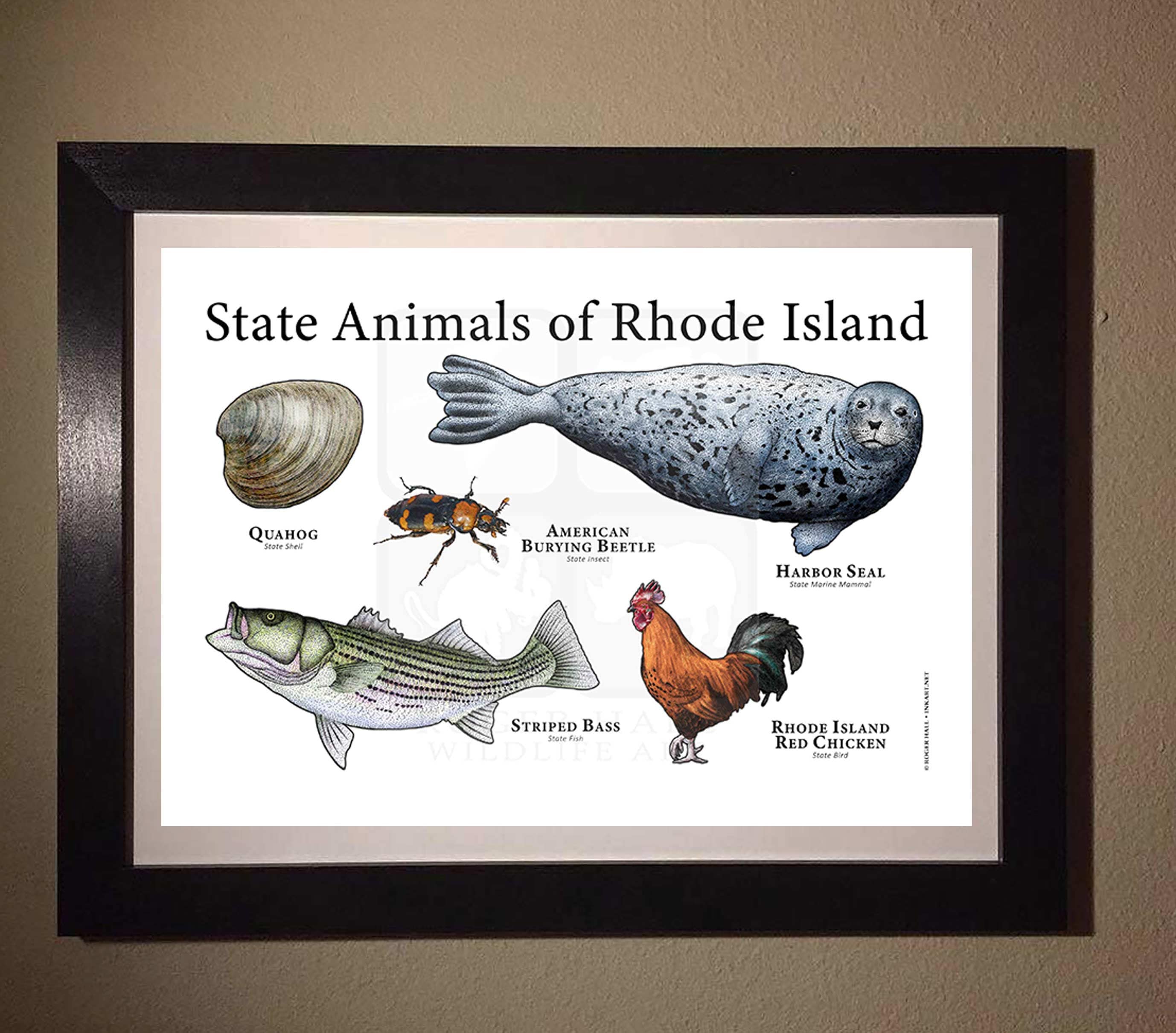 Rhode Island State Animals Poster Print | Etsy