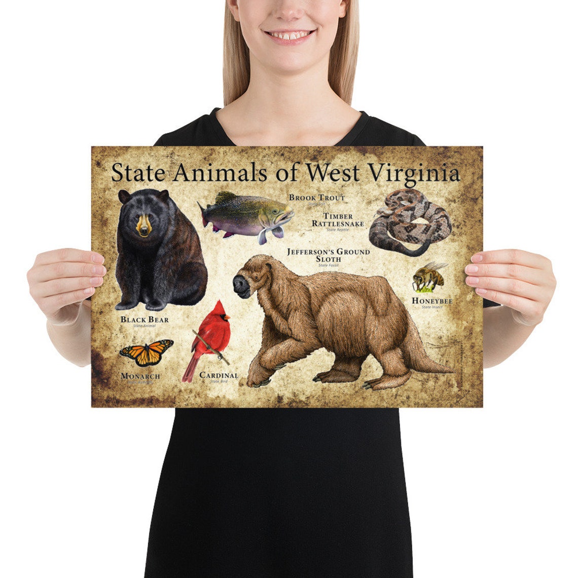 West Virginia State Animals | Etsy Canada