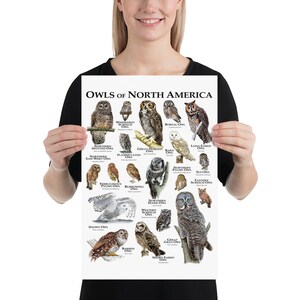 Owls of North America Poster - SIGNED BY ARTIST! - Etsy