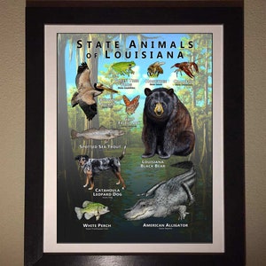 Louisiana State Animals Poster Print - Etsy