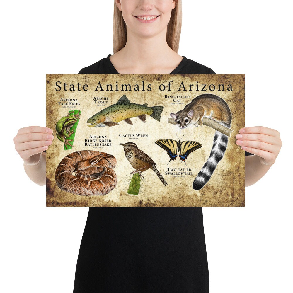 Arizona State Animals Poster Print - Etsy