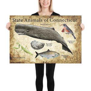 Connecticut State Animals Poster Print | Etsy