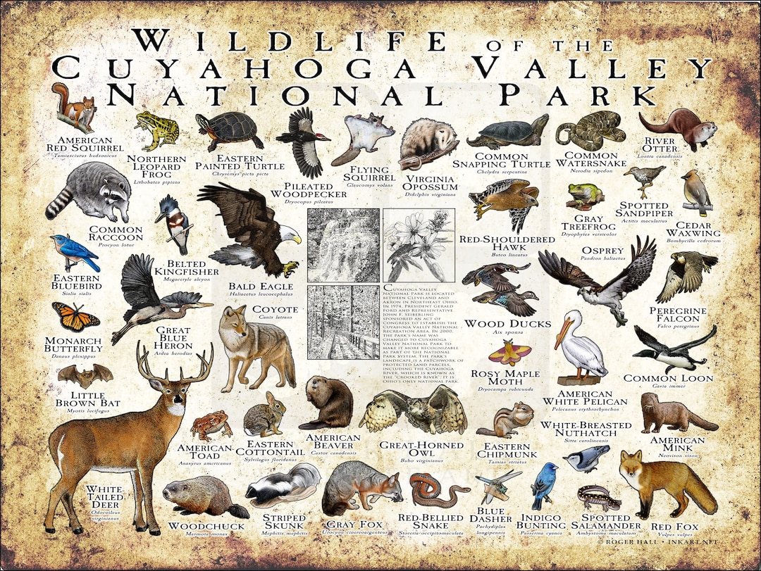 Wildlife of Cuyahoga Valley National Park/field Guide - SIGNED BY ...