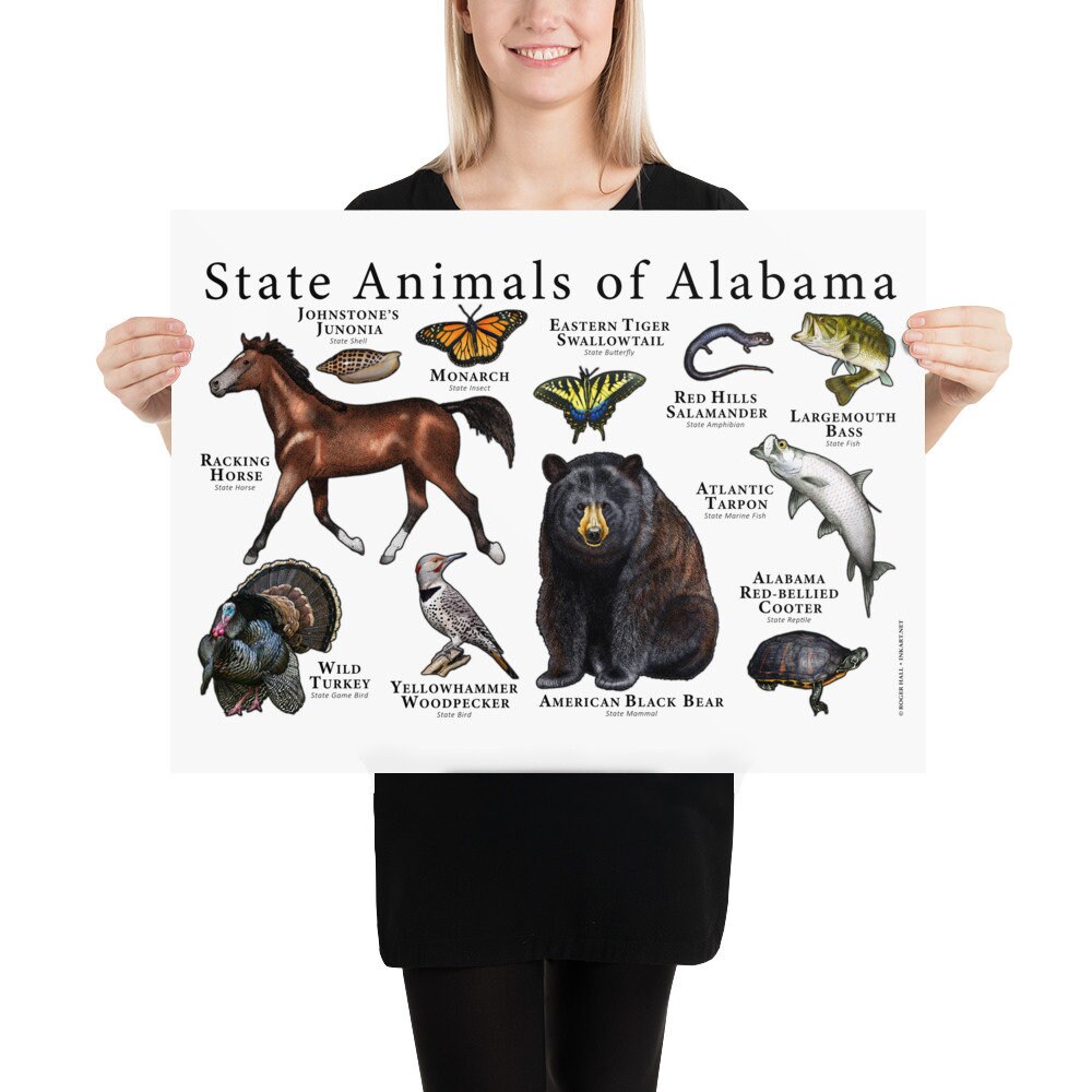 Alabama State Animals Poster | Etsy