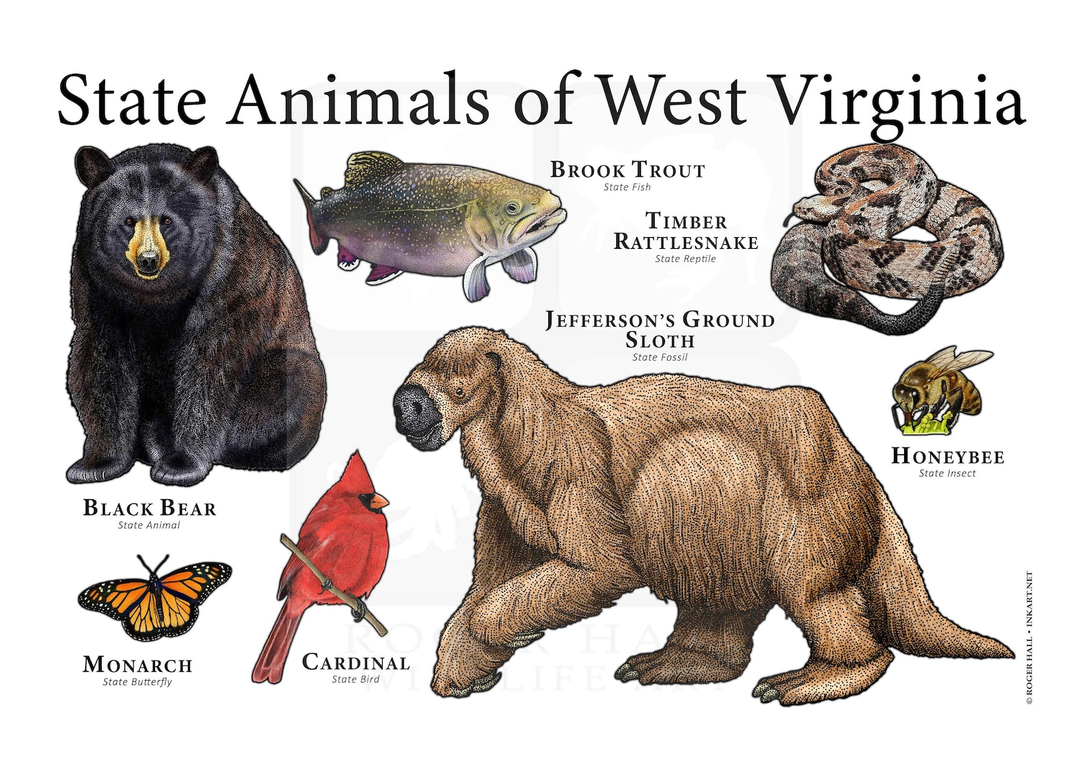 West Virginia State Animals | Etsy Canada