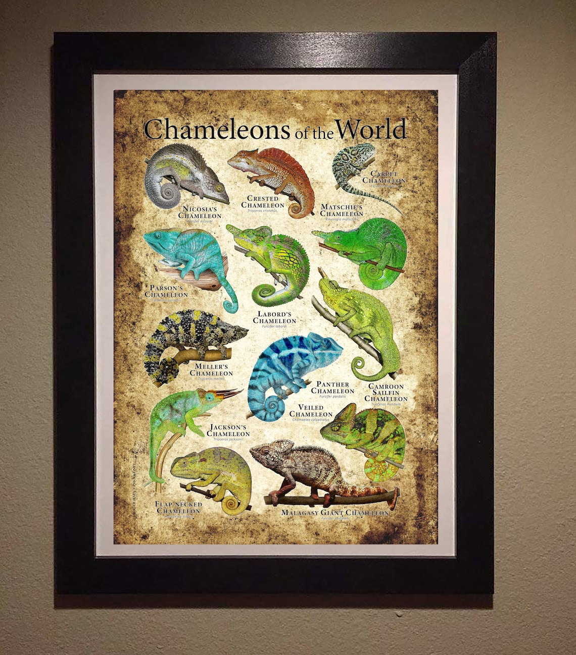 Chameleons on the World Poster | Etsy