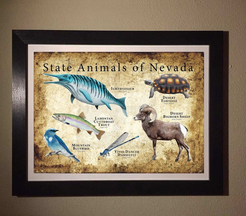 Nevada State Animals | Etsy