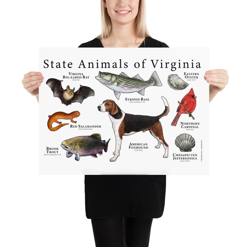 Virginia State Animals Poster Print | Etsy