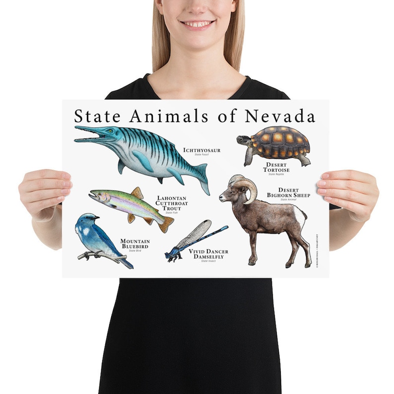 Nevada State Animals | Etsy