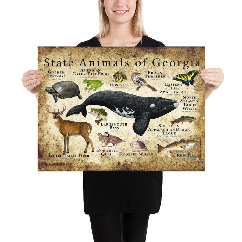 Georgia State Animals Poster Print - Etsy