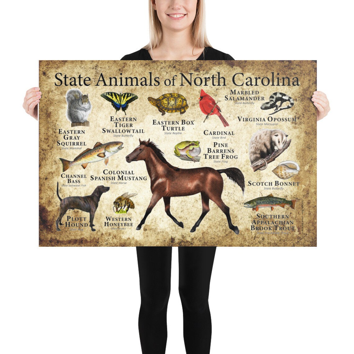 North Carolina State Animals Poster Prnt | Etsy