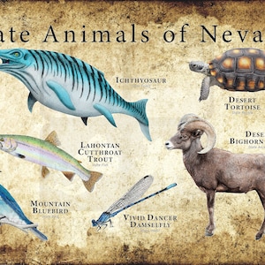 Nevada State Animals | Etsy