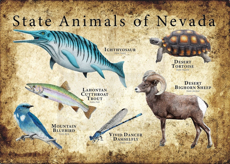 Nevada State Animals | Etsy