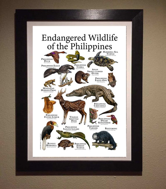 Endangered Ocean Species Poster